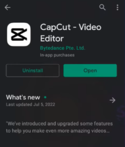 Capcut App Not Working - How to Solve Problems & Fix Issues?